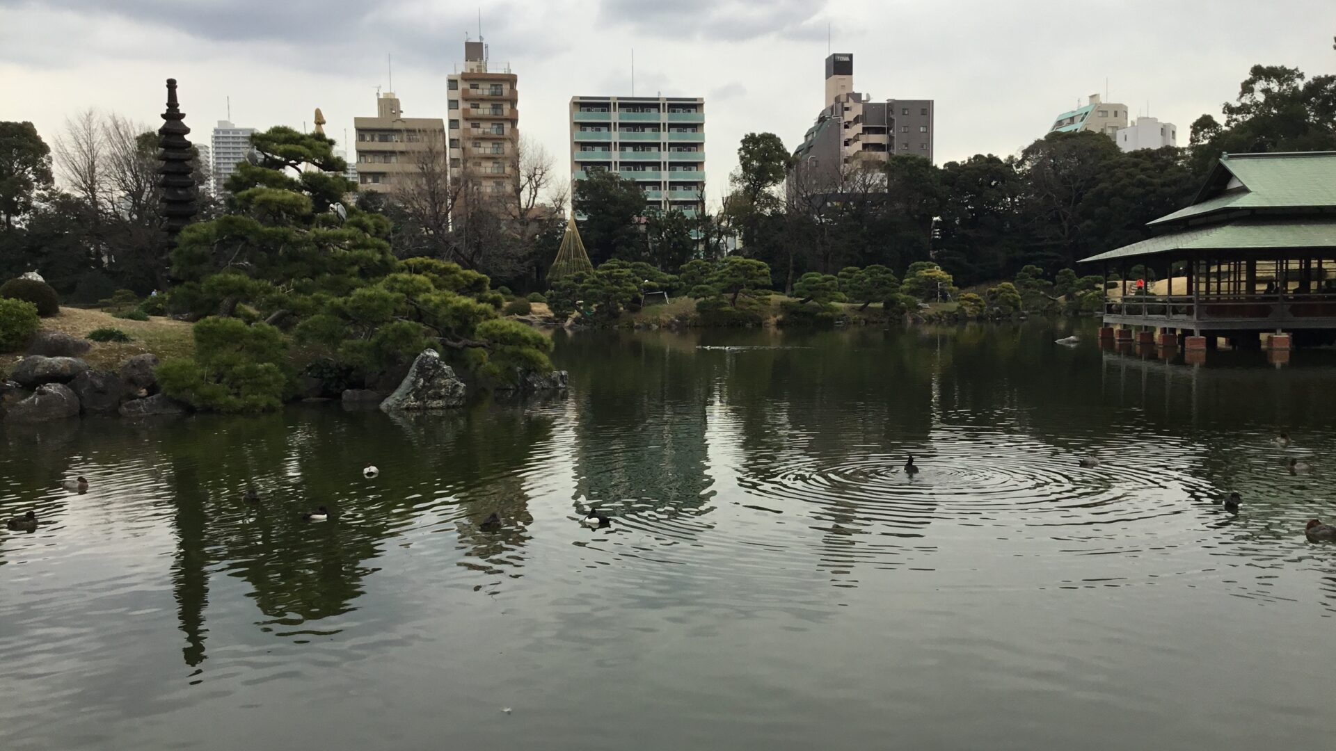 Tokyo Modern Architecture of Shinjuku, Yoyogi & Daikanyama area | Japan van